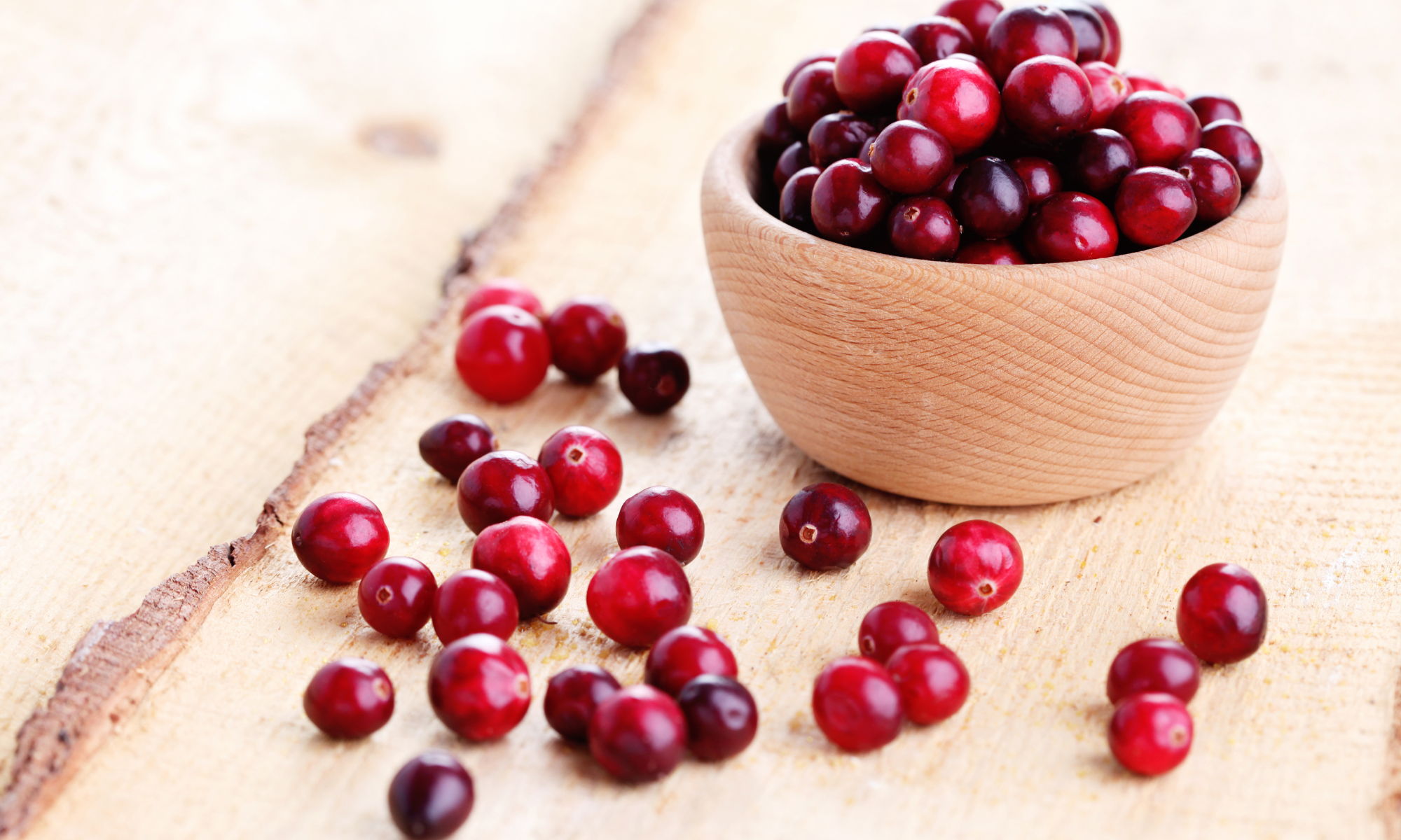 Cranberries: For Stomach Ulcers, Urological Health, Digestion & More ...