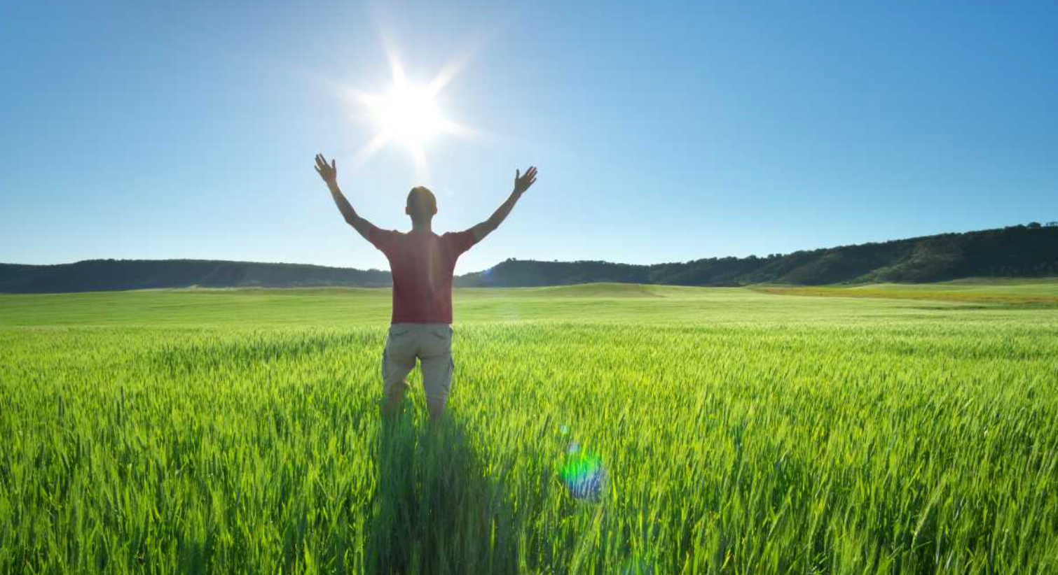 7 Key Reasons Why You Need Sunlight – Tolman Self Care