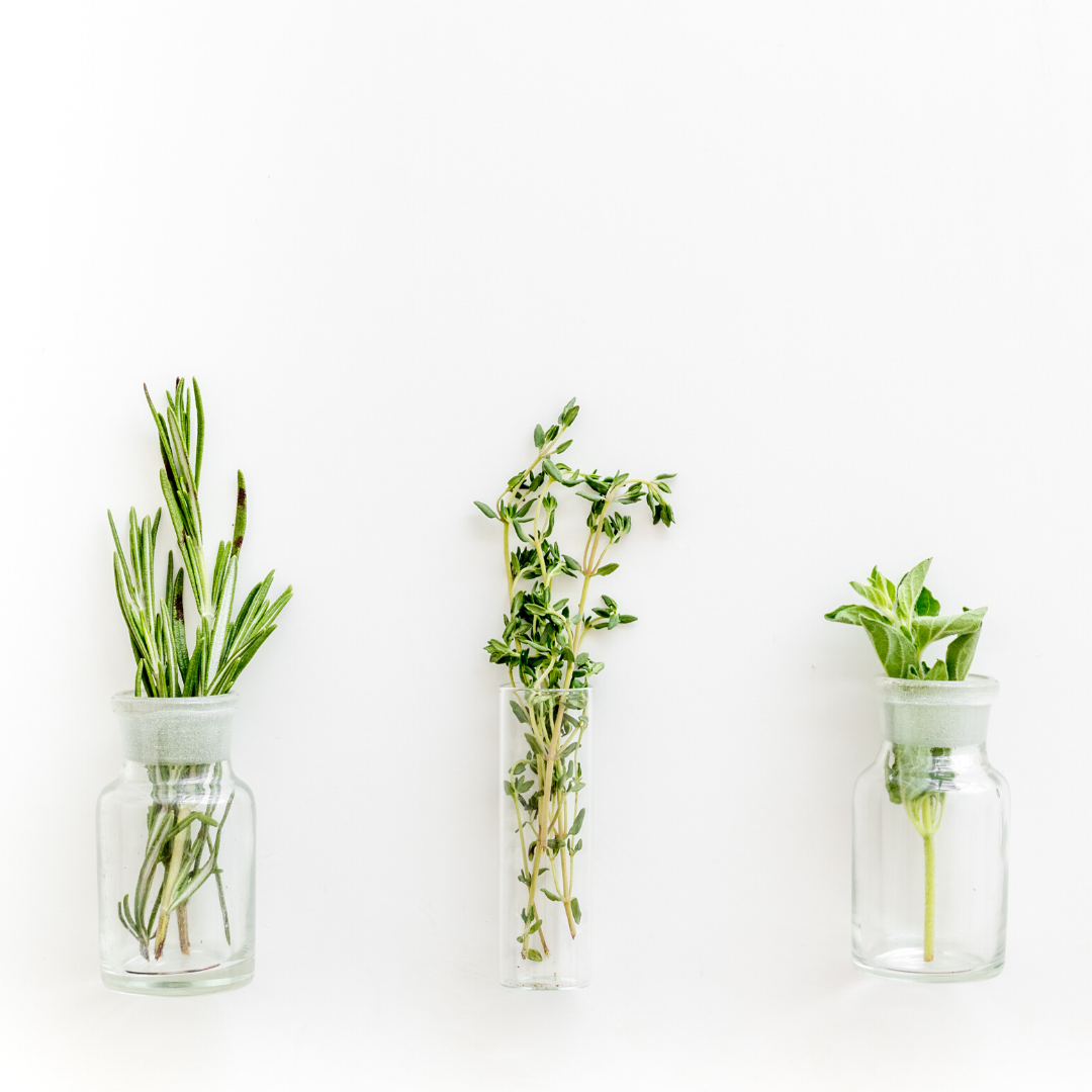 Male Essentials – Tolman Self Care